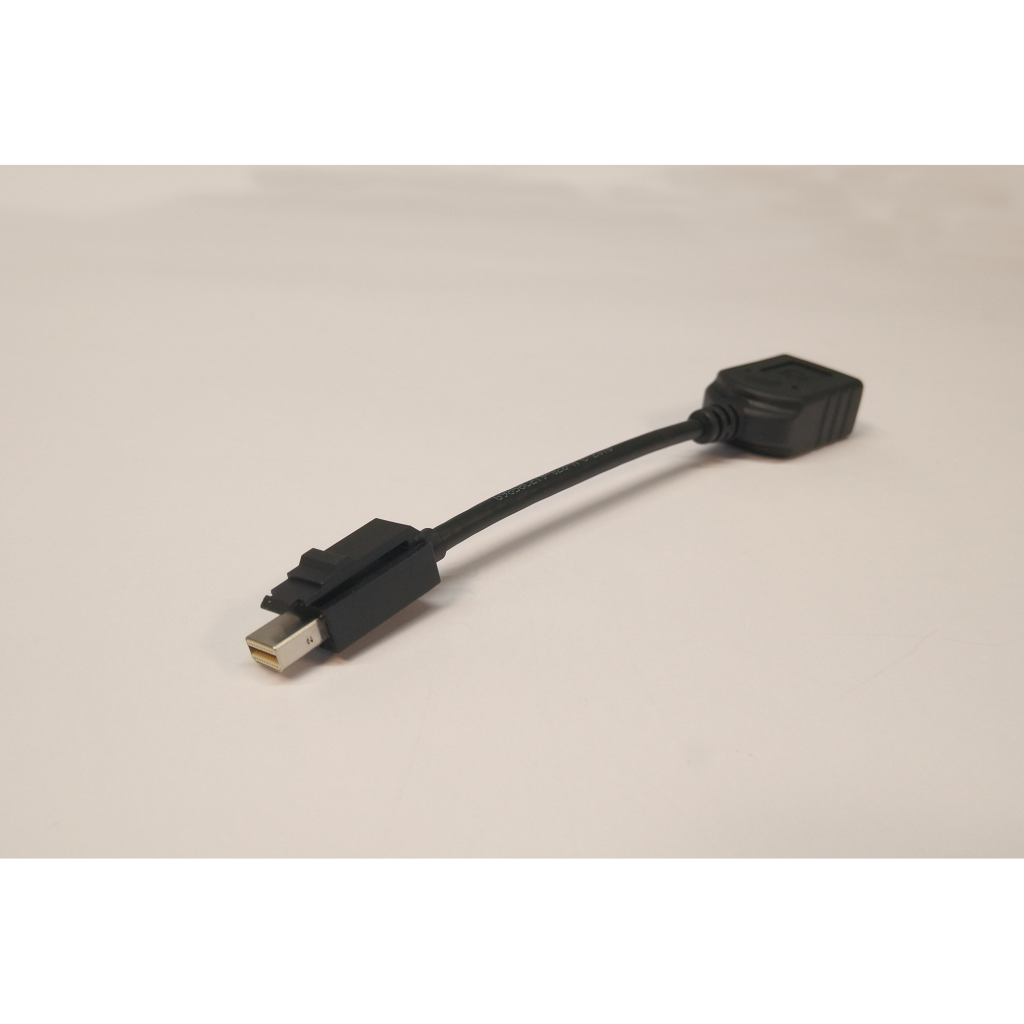 mini-DP to DP adapter cable – Birdy Boxes